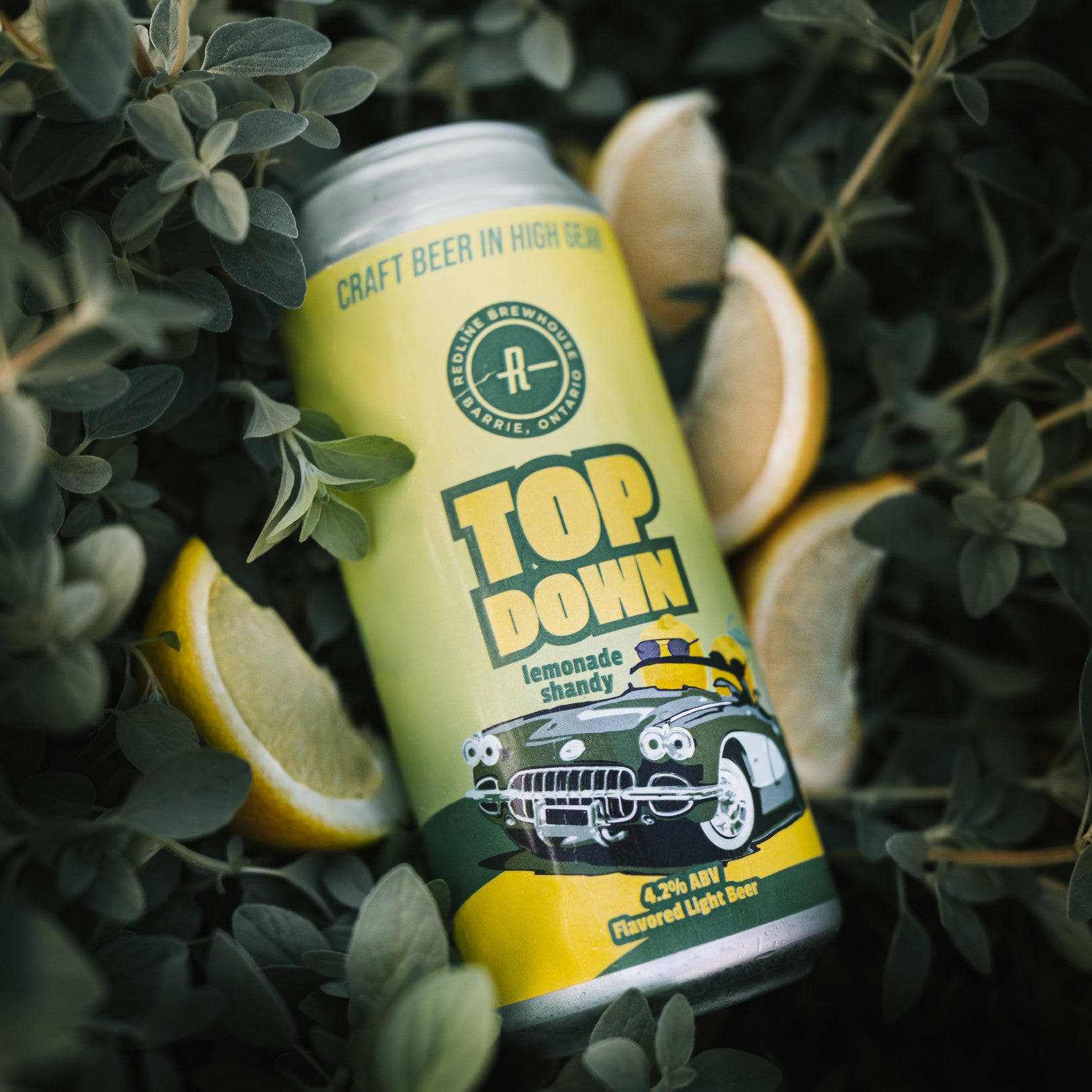 Top Down – Beer Mrkt